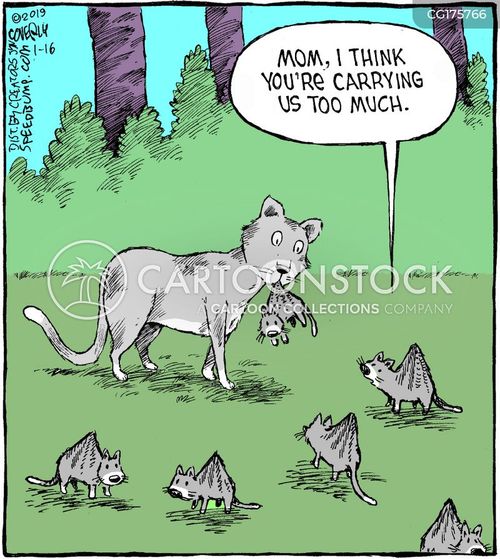 Cat Parenting Cartoons and Comics - funny pictures from CartoonStock