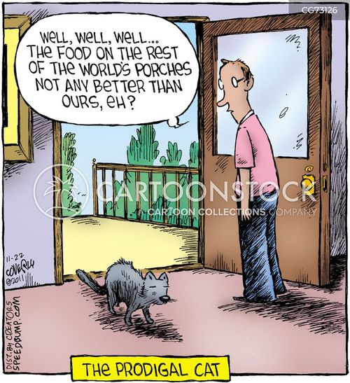 Cat Wellness Cartoons and Comics - funny pictures from CartoonStock