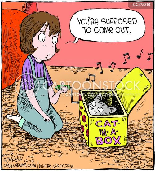 Cats And Boxes Cartoons and Comics - funny pictures from CartoonStock