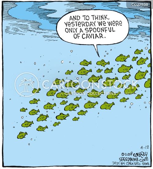 Sturgeon Roe Cartoons and Comics - funny pictures from CartoonStock