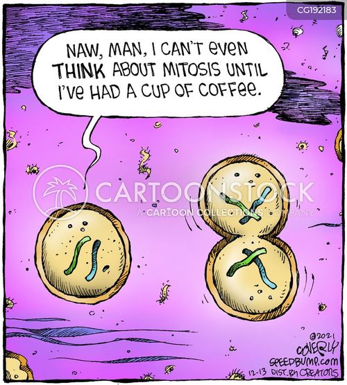 Stiall Cartún Mitosis Cellular Mitosis Cartoons And Comics Funny