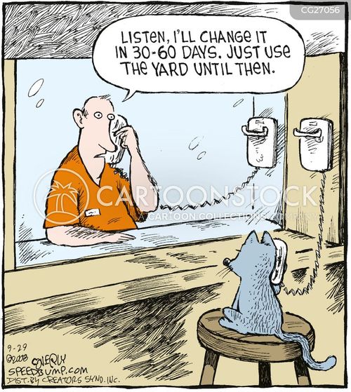 Boxes Cartoons and Comics - funny pictures from CartoonStock