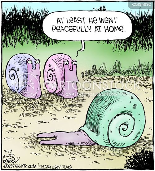 Deceased Snail Cartoons and Comics - funny pictures from CartoonStock