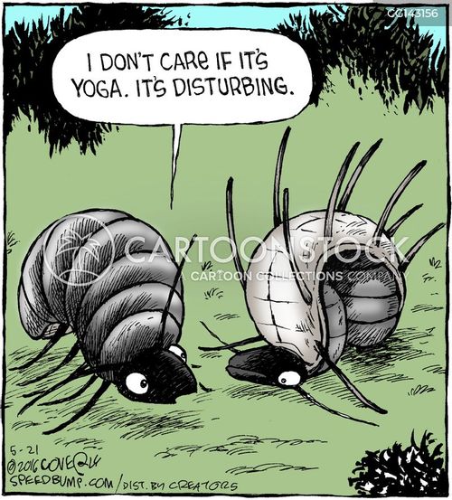 Sade Cartoons and Comics - funny pictures from CartoonStock