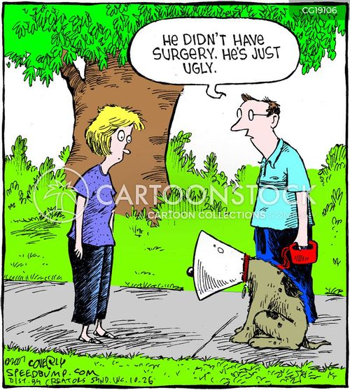 Dog Surgery Cartoons and Comics - funny pictures from CartoonStock
