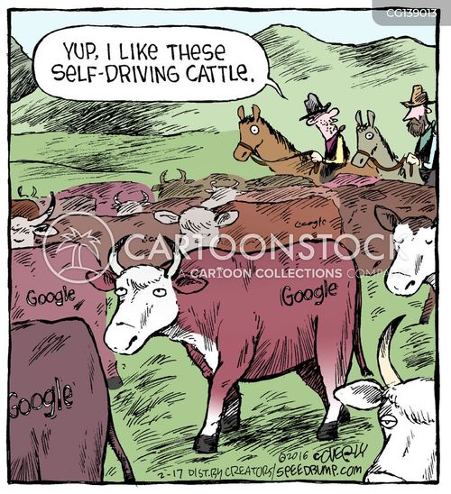 Automotive Cattle Cartoons and Comics - funny pictures from CartoonStock