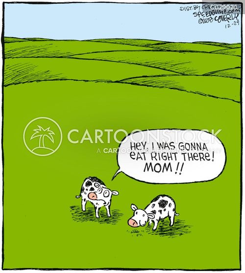 Cow Cartoons and Comics - funny pictures from CartoonStock