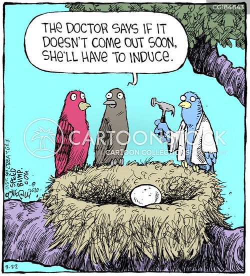 Inducing Labor Jokes Unexpected Labor Induction During 37 Week