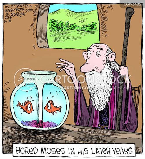 Bible Tales Cartoons and Comics - funny pictures from CartoonStock