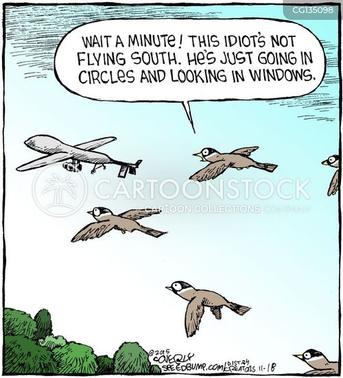Flying Into Windows Cartoons and Comics - funny pictures from CartoonStock