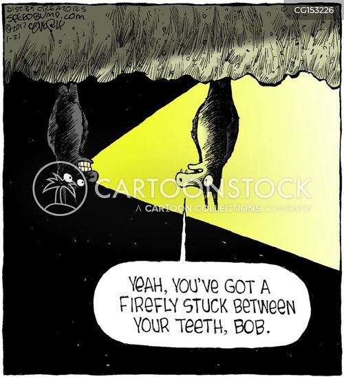 Firefly Cartoons and Comics - funny pictures from CartoonStock