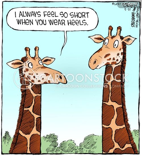 Tall Vs Short Cartoons and Comics - funny pictures from CartoonStock