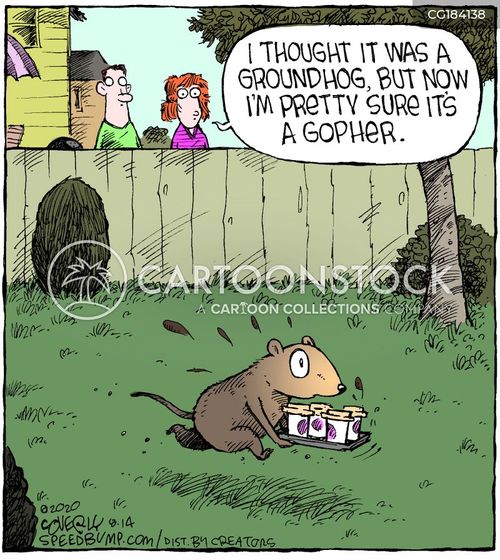 Rodent Species Cartoons and Comics - funny pictures from CartoonStock