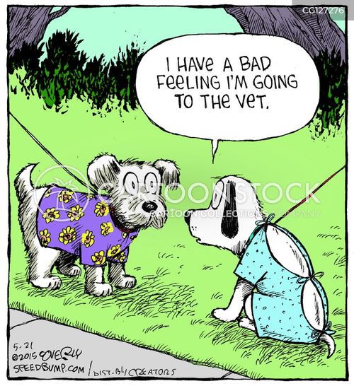 Scared Of The Vet Cartoons and Comics - funny pictures from CartoonStock