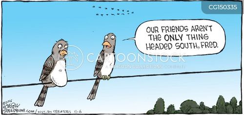 Heading Cartoons and Comics - funny pictures from CartoonStock