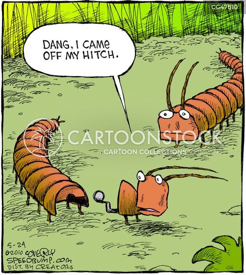 Swing Hitch Cartoons and Comics - funny pictures from CartoonStock