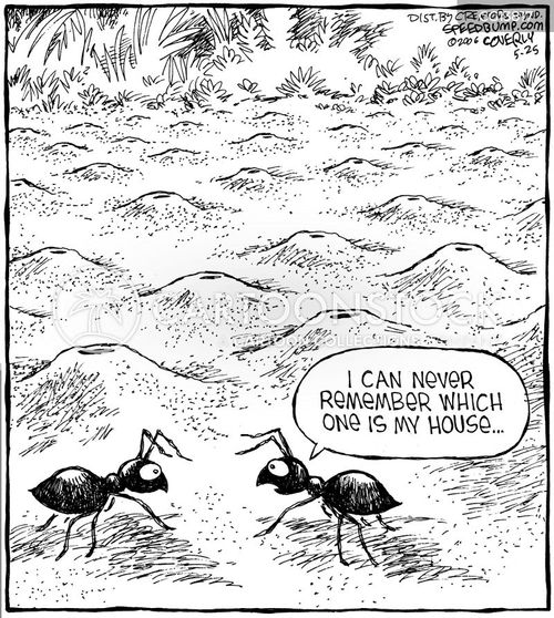 Ant Home Cartoons and Comics - funny pictures from CartoonStock
