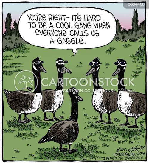 Incongruous Cartoons and Comics - funny pictures from CartoonStock