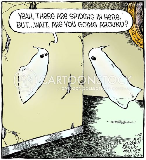 Eight Spiders A Year Cartoons and Comics - funny pictures from CartoonStock