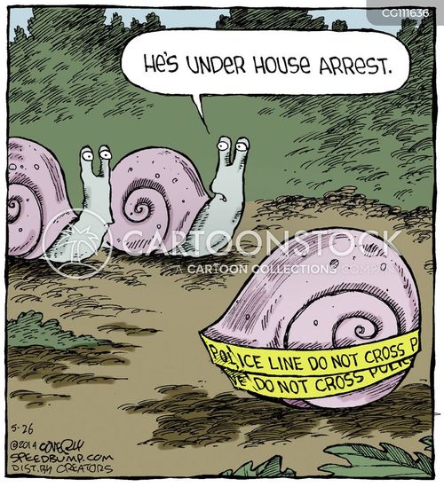 Taped Cartoons and Comics - funny pictures from CartoonStock