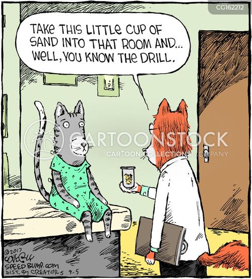 Cat Pee Memes Cat's Pee Cartoons And Comics Funny Pictures From