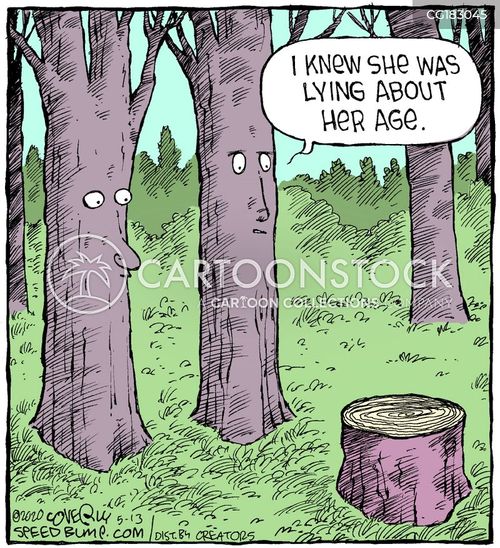 Tree Rings Cartoons and Comics - funny pictures from CartoonStock