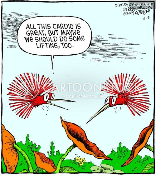 Cardio Bunny Cartoons and Comics - funny pictures from CartoonStock