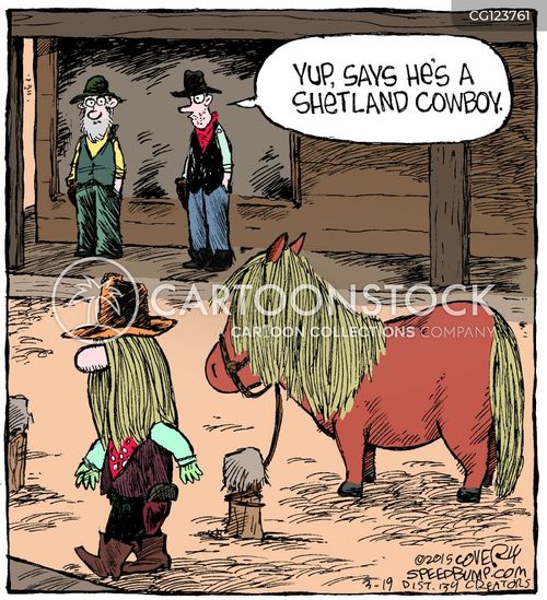 Shetland Pony Cartoons and Comics - funny pictures from CartoonStock