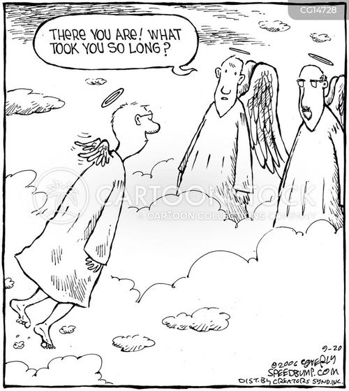 Arrival At Heaven Cartoons and Comics - funny pictures from CartoonStock