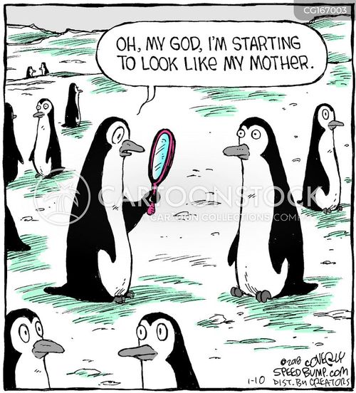 Similar Cartoons and Comics - funny pictures from CartoonStock