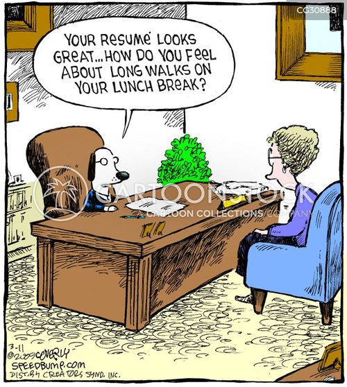 Funny Dog Interview Questions