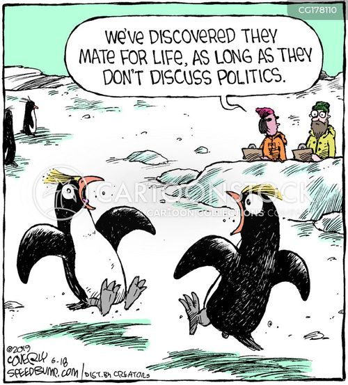 Angry Birds Cartoons and Comics - funny pictures from CartoonStock
