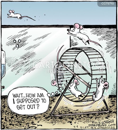 Escapee Cartoons and Comics - funny pictures from CartoonStock