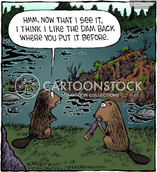 Dam Removal Cartoons and Comics - funny pictures from CartoonStock