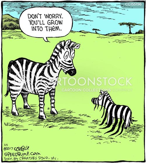 Zebra Stripe Cartoons and Comics - funny pictures from CartoonStock