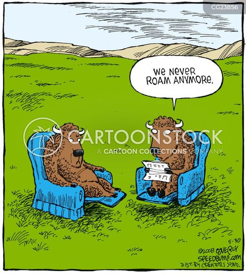 Buffalo Population Cartoons and Comics - funny pictures from CartoonStock