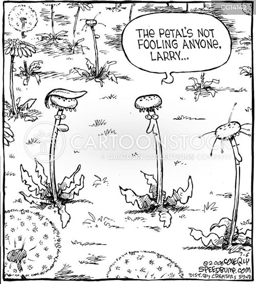 Combover Cartoons and Comics - funny pictures from CartoonStock