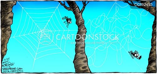 Web Pattern Cartoons and Comics - funny pictures from CartoonStock