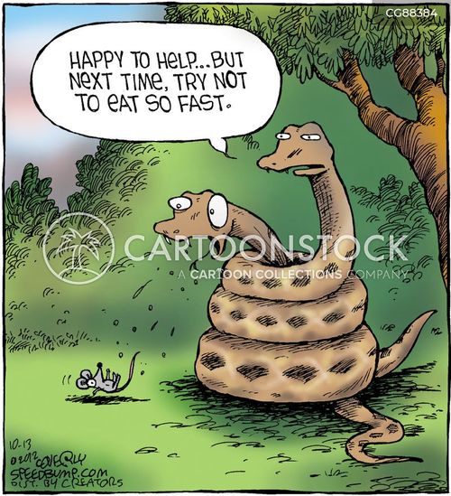 Helpfulness Cartoons and Comics - funny pictures from CartoonStock