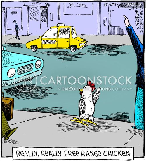 Rushing Around Like A Headless Chicken Cartoons and Comics - funny ...