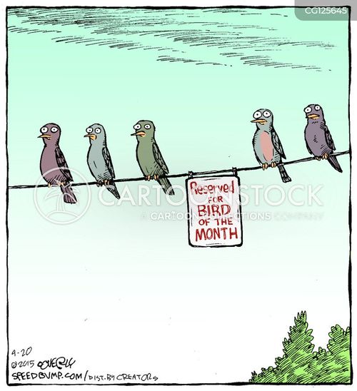 Perching Cartoons and Comics - funny pictures from CartoonStock