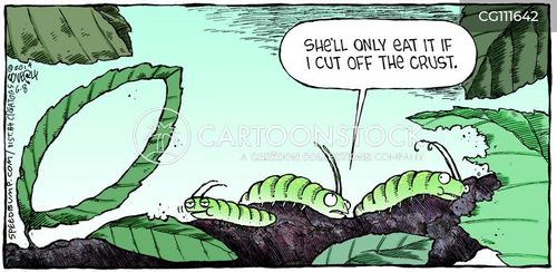 Picky Cartoons and Comics - funny pictures from CartoonStock
