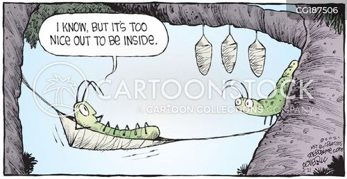 Cocoon Cartoons and Comics - funny pictures from CartoonStock