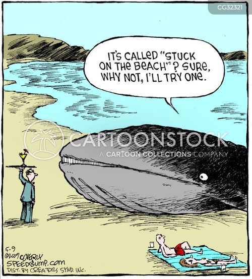 Drunk Surfing Cartoons and Comics - funny pictures from CartoonStock