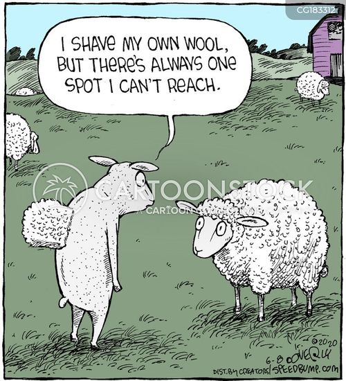 Back Sheeps Cartoons and Comics - funny pictures from CartoonStock