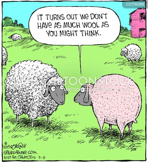 Shearing Season Cartoons and Comics - funny pictures from CartoonStock