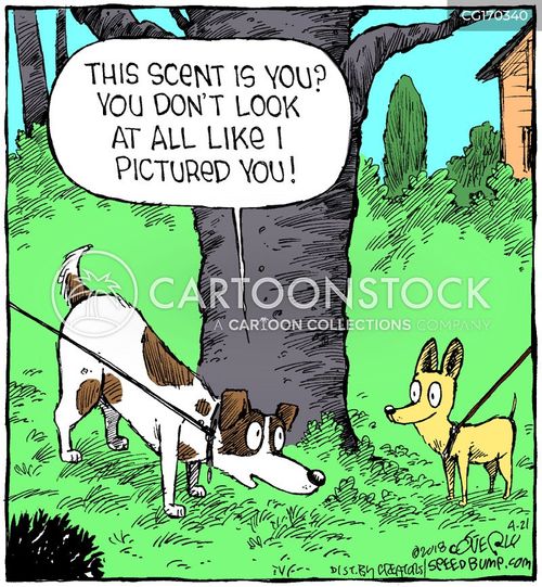 Speed Difference Cartoons and Comics - funny pictures from CartoonStock