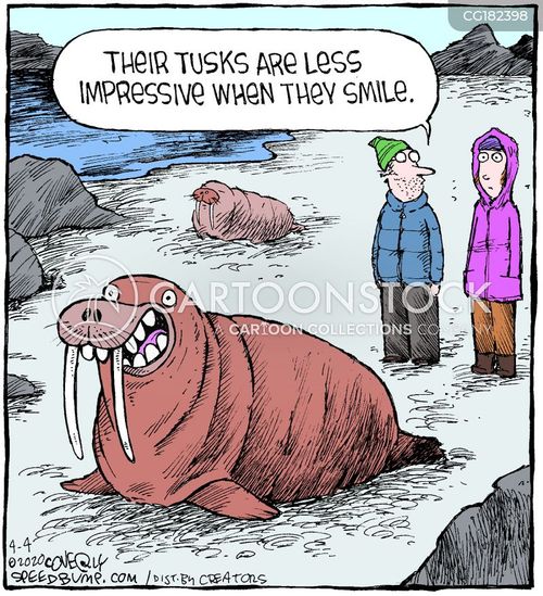 Tuskless Cartoons and Comics - funny pictures from CartoonStock