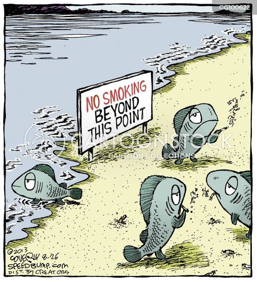 Speeding Point Cartoons and Comics - funny pictures from CartoonStock