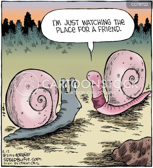 Snail Neighbors Cartoons and Comics - funny pictures from CartoonStock